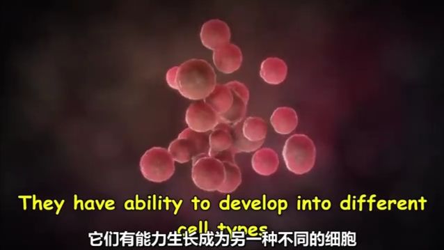 干细胞注射竟长出牙槽骨,牙齿再生或成现实