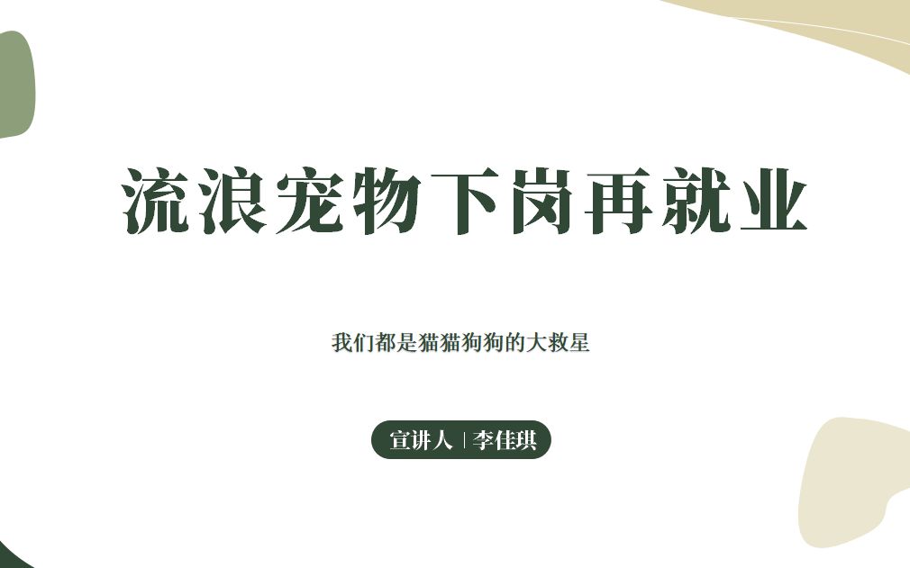 2022年春季学期大创课程项目路演:流浪宠物“下岗再就业”