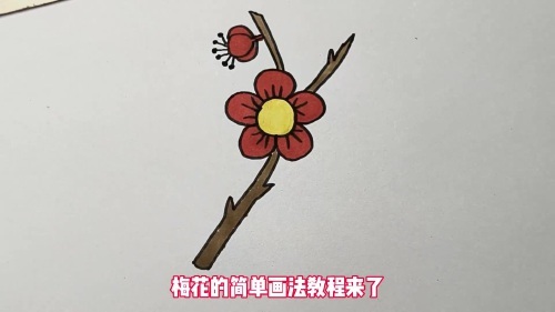 梅花怎么画简单又漂亮?梅花的简单画法教程来了