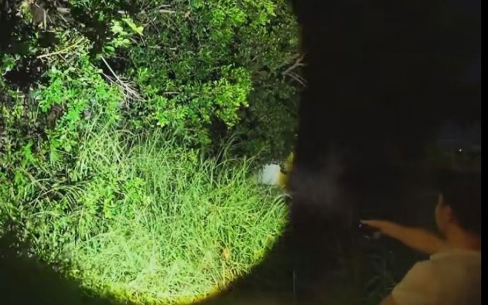 带绅缩的神火强光手电筒