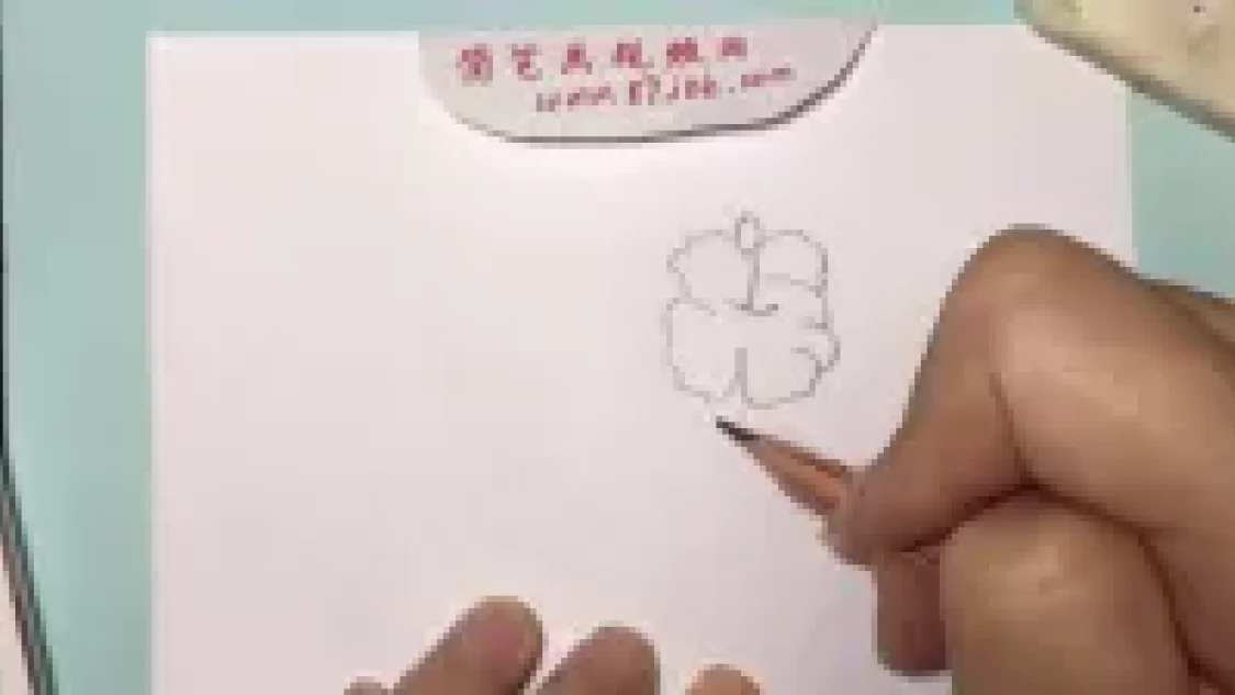 棉花简笔画视频