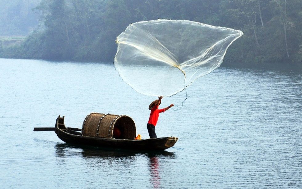撒网捕鱼的原理与实践