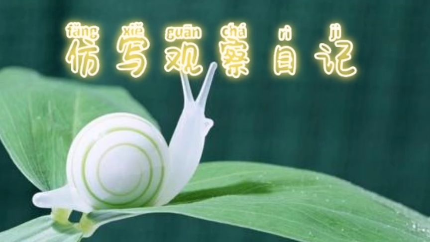 部编版四年级上册习作三,学会观察,写作文