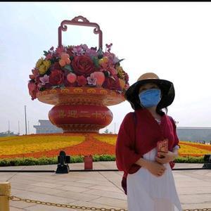 釿橞清心草