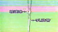 碱式滴定管