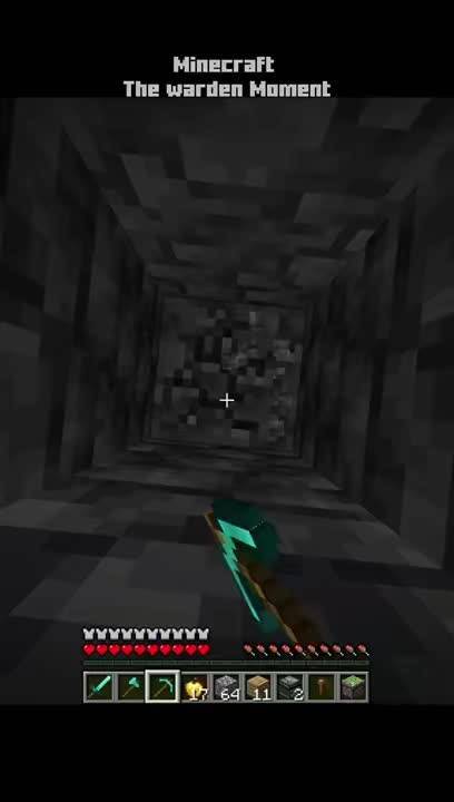 我的世界循声守卫时刻