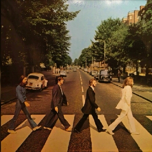 姑娘我拳下有风z 