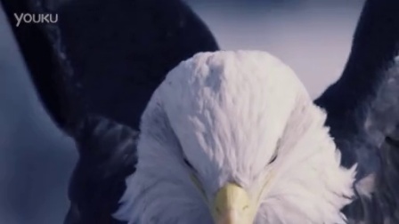 【VGtime】《刺客信条:枭雄》「鹰眼视觉」宣传片