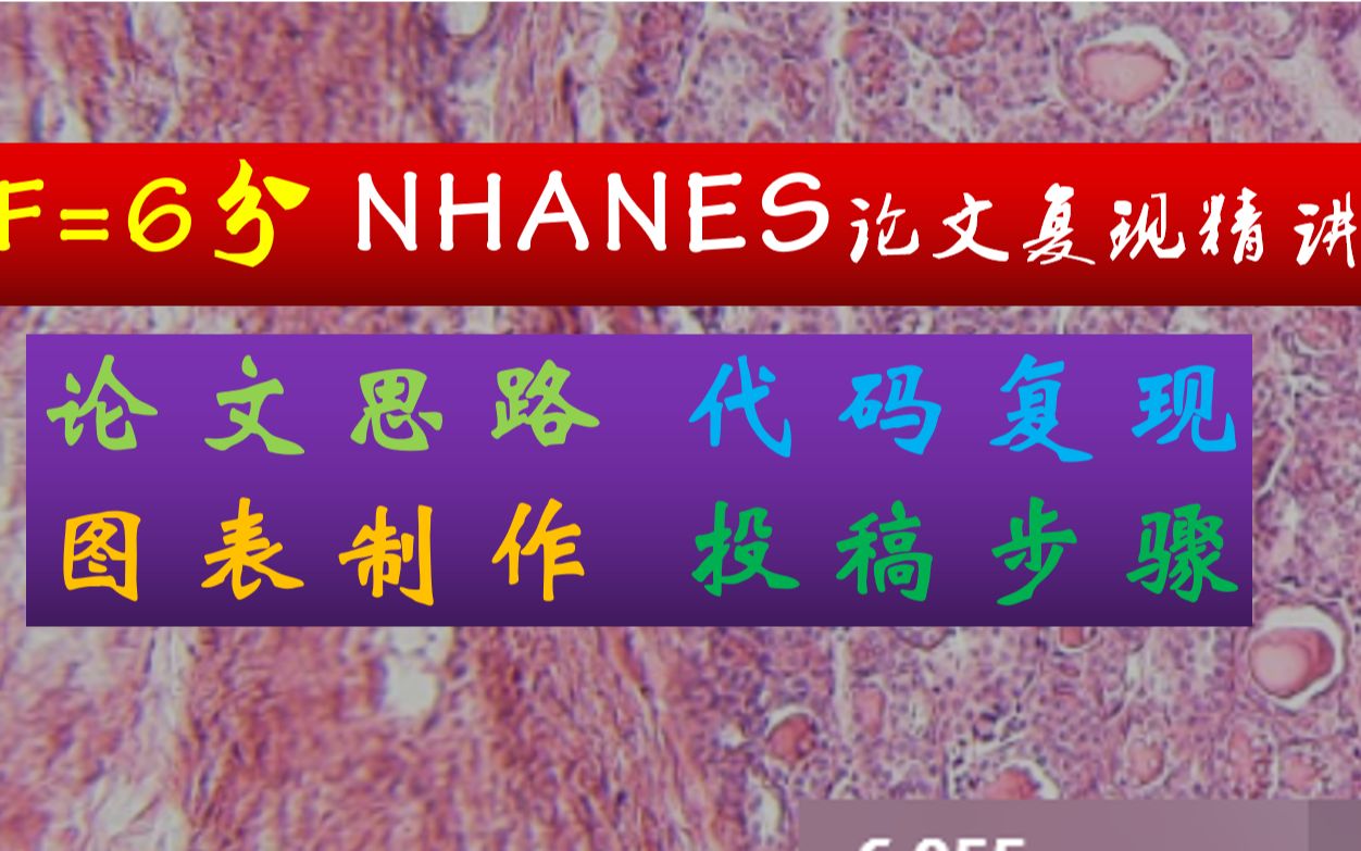 3.0 代码复现篇-NHANES数据库知多少+数据准备