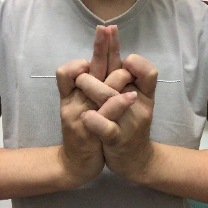 掌缘生灭矢量操控 