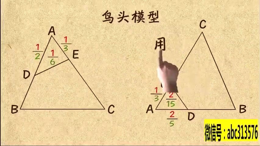 鸟头模型,特别的趣味数学