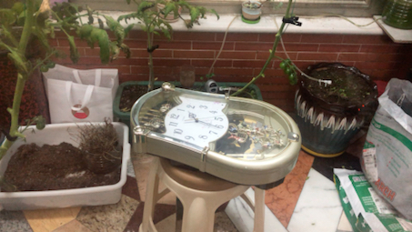 西铁城电波钟4MN401-B的对时过程