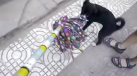 小狗皮皮---第3季