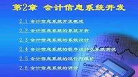 08会计信息系统开发(2)