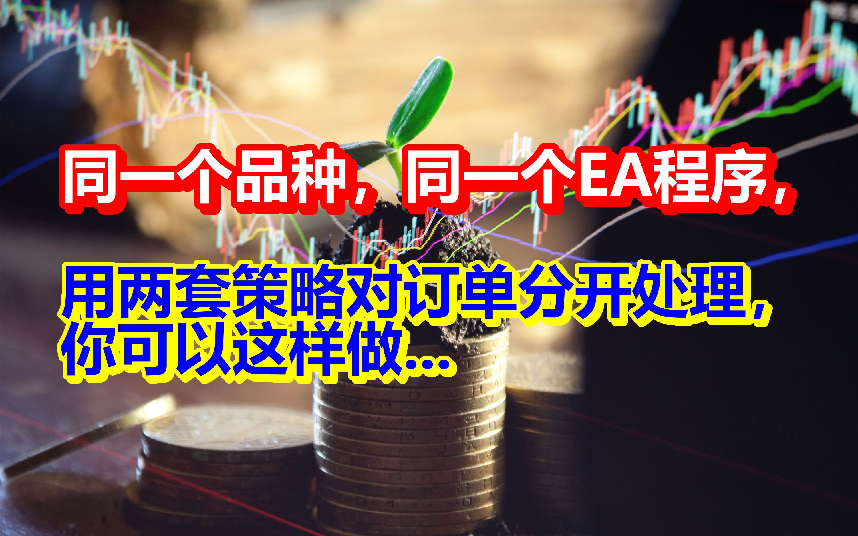 同一个品种,同一个EA程序,如何对订单分开处理.