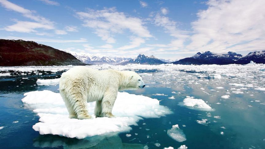 当所有的冰都融化,地球会发生什么变化?