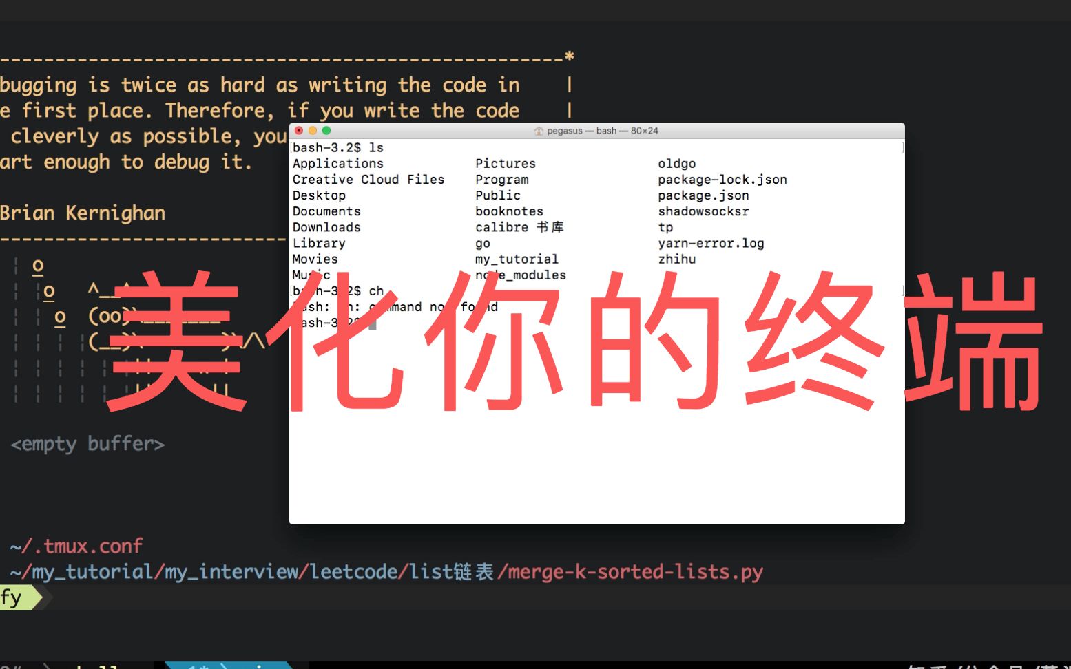 为啥你的终端(Terminal)看起来这么土?终端美化攻略