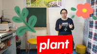 今天教你几个有关花草树木的英语表达,大家一起来涨知识啦