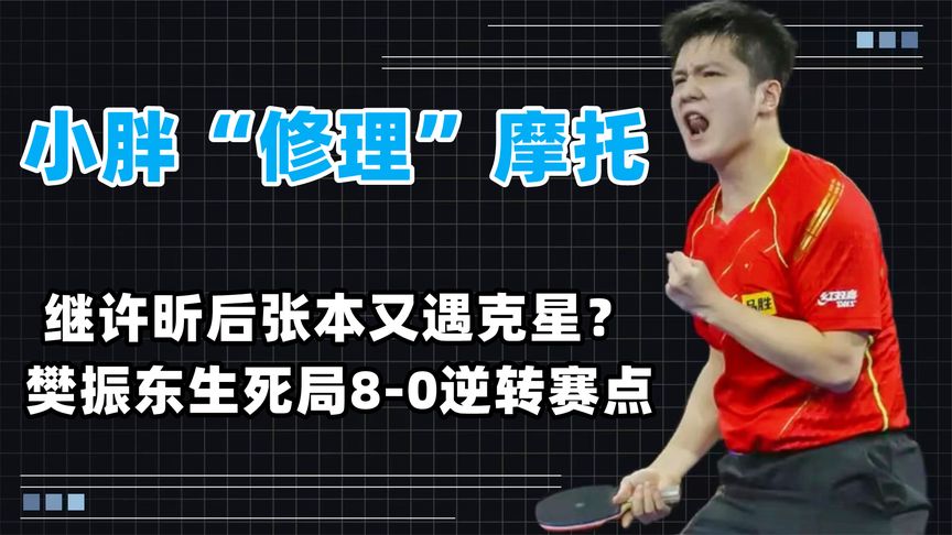 继许昕后又遇克星?樊振东生死局8-0逆转赛点,张本智和被打崩了