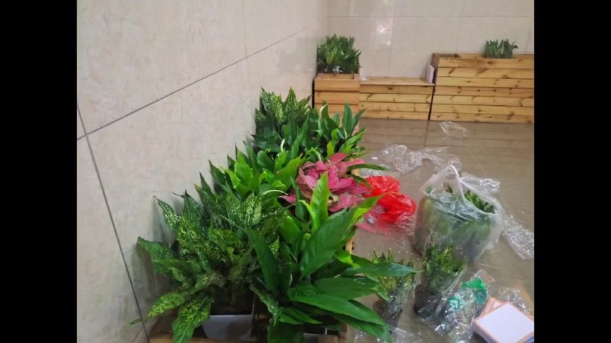 思想决定态度,态度决定行动,行动决定结果,感谢领导信任和支持