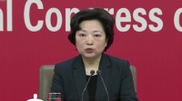 中国共产党第二十次全国代表大会 党的对外工作 服务党和国家中心工作