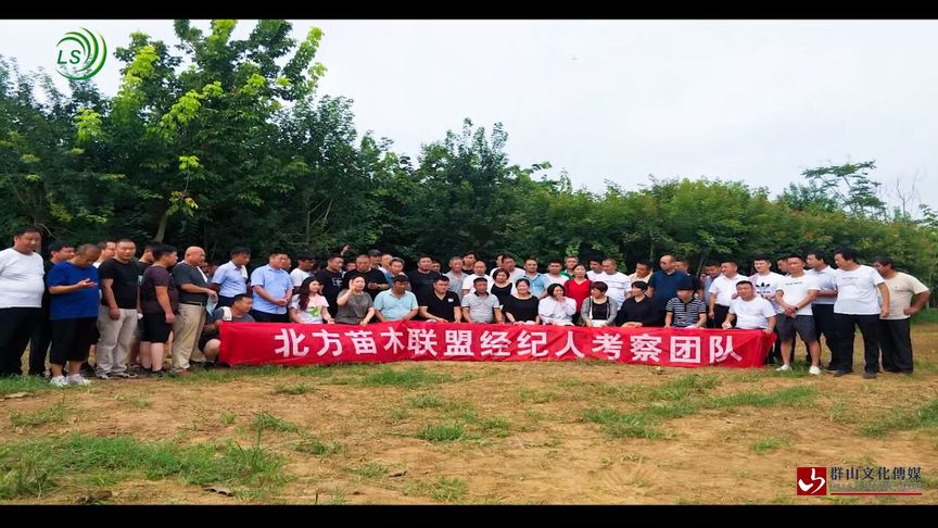 郑州苗木基地宣传片 #苗木种植基地宣传片 #许昌鄢陵苗木基地