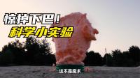 适合孩子做的神奇科学小实验,简单易上手,培养孩子的动手能力!