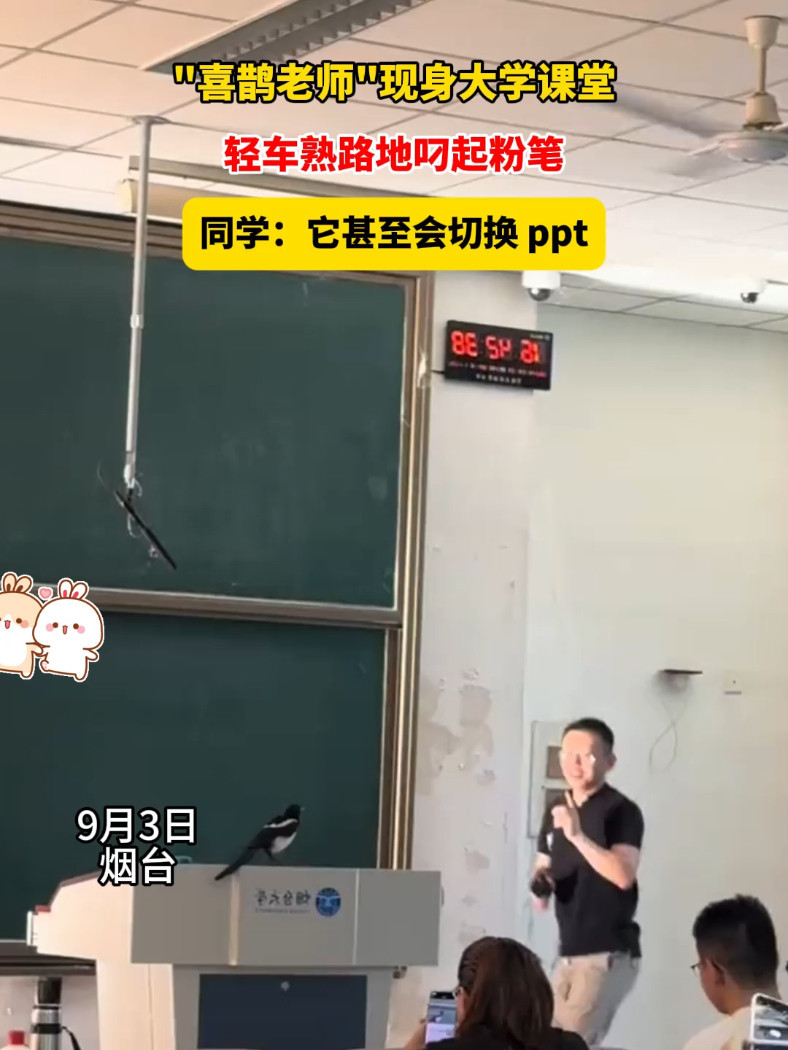 它甚至会切换ppt