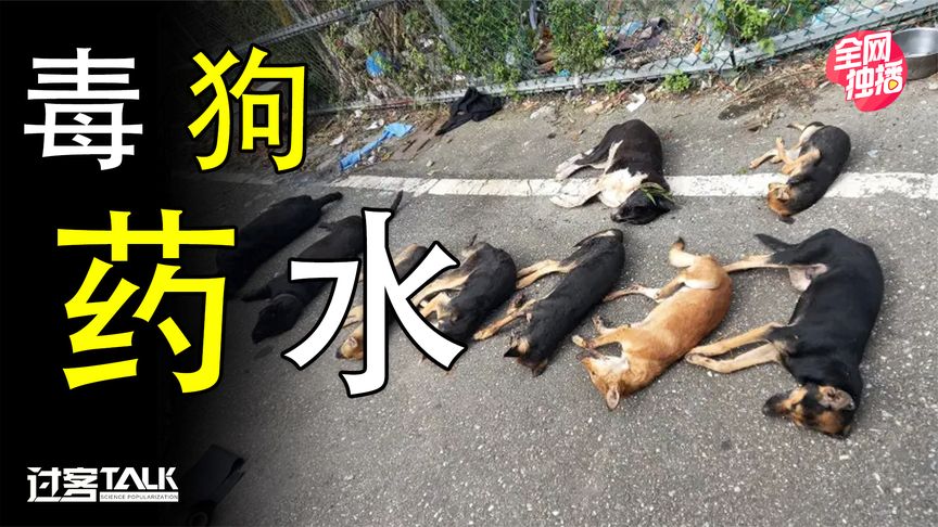 狗被毒药水喷到后60秒死亡,到底是什么药这么毒?喷到人怎么办?
