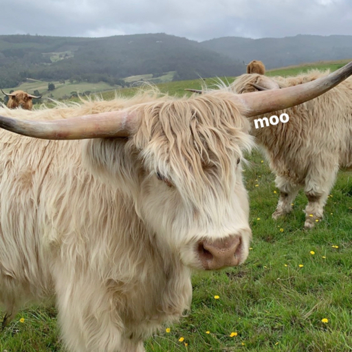 YaOo0ooo 