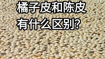 陈皮就是橘子皮吗?