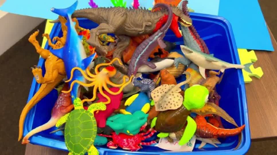 海洋动物总动员之滑梯大冒险!