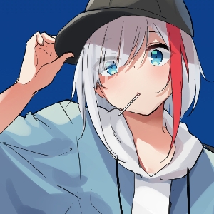 辉夜shuttle 
