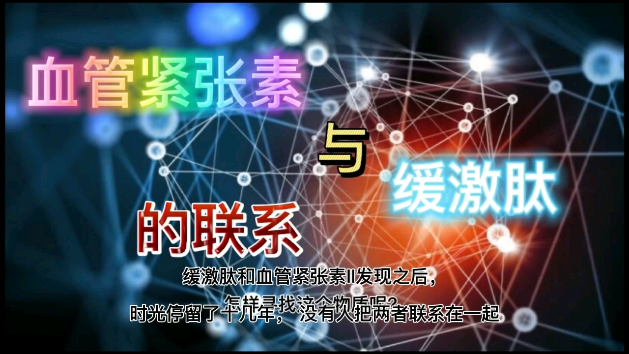 血管紧张素与缓激肽的联系
