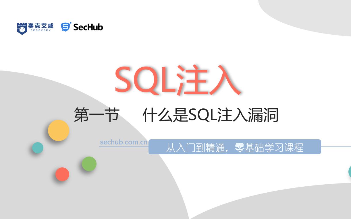 2023 B站最详细的SQL注入完整课程,从入门到进阶,零基础学习(第一...