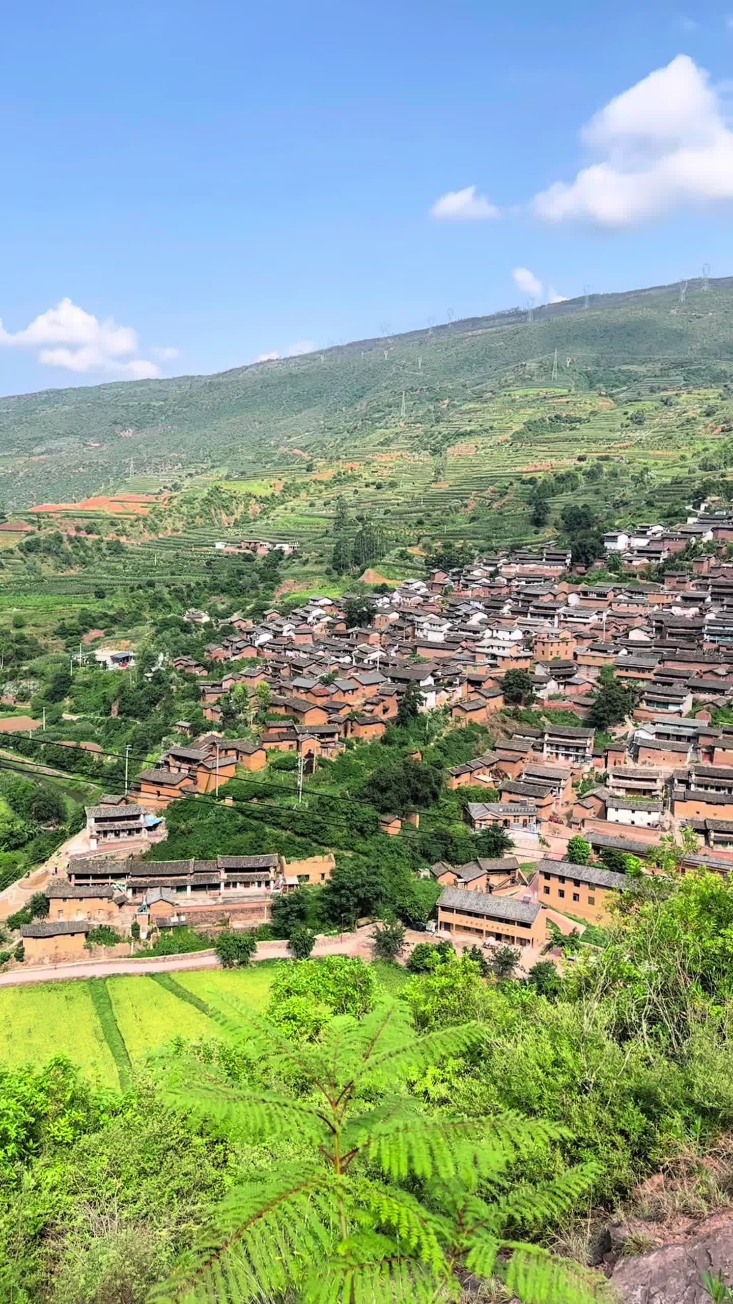 回了趟老家之后才发现,以前的很多老人都相继离世了,以前经常在村里...