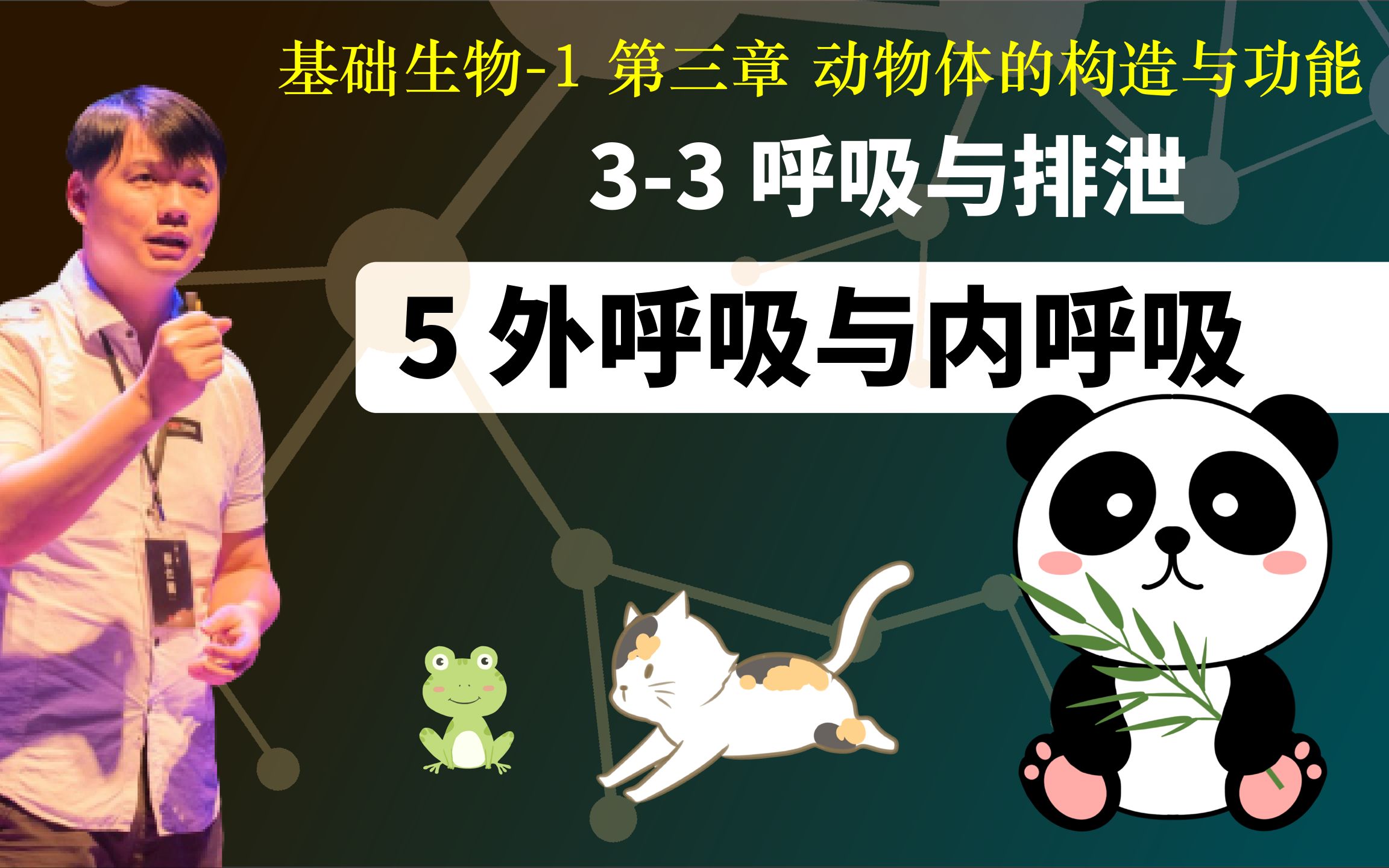 基础生物学3-3.5 外呼吸与内呼吸