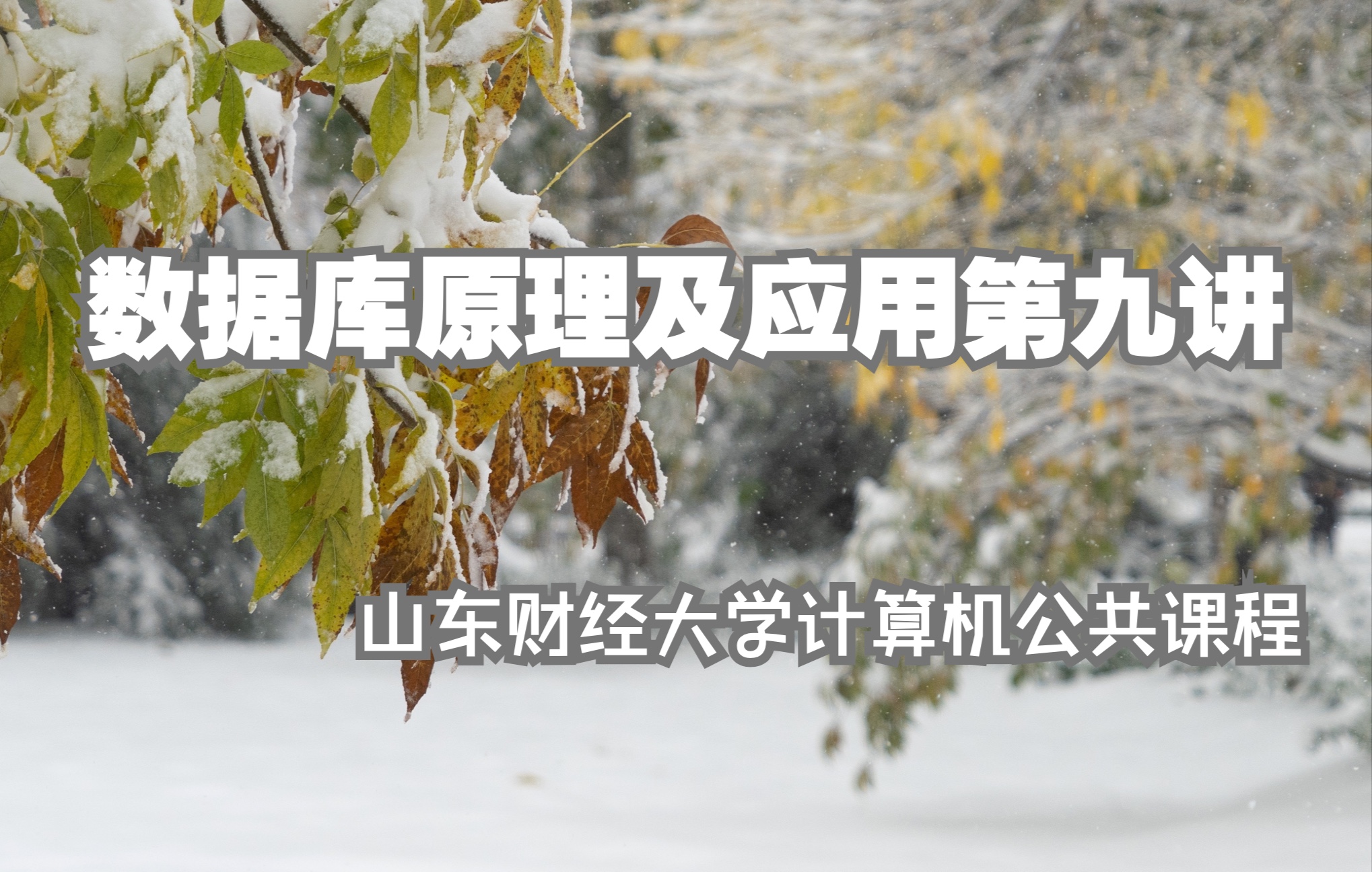 数据库原理及应用第九季-课堂案例-建立学生管理数据库之一SQL ...