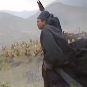 硅藻居士 