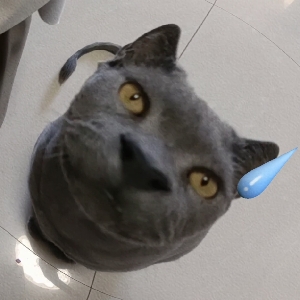 经伟兄的猫 