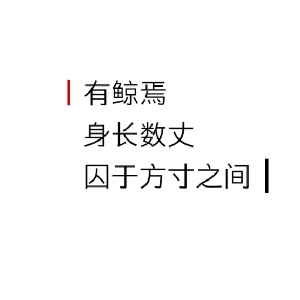 佘鱼Sylvia_ 