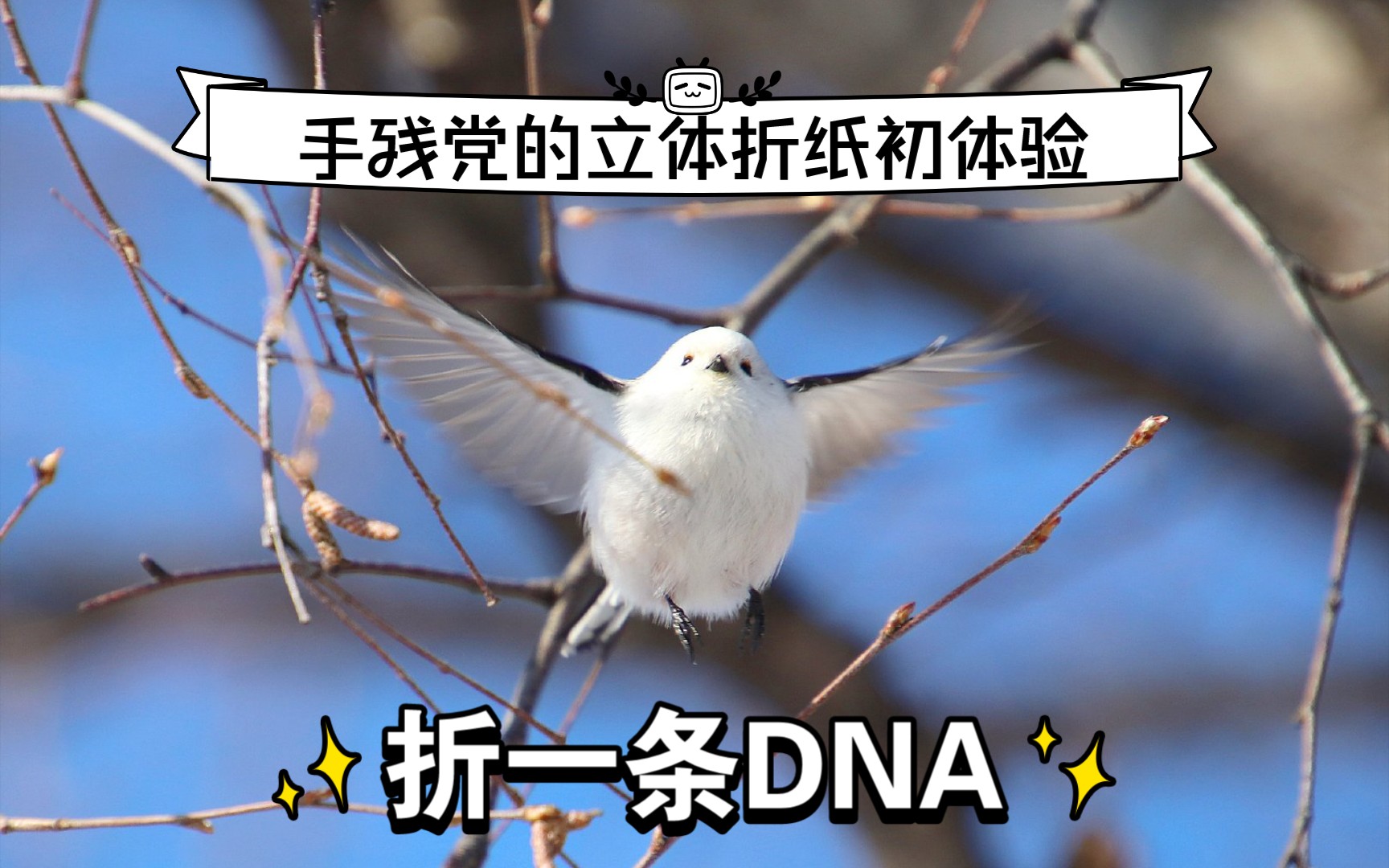 【折纸】跟着教程折一条立体的DNA双螺旋结构模型