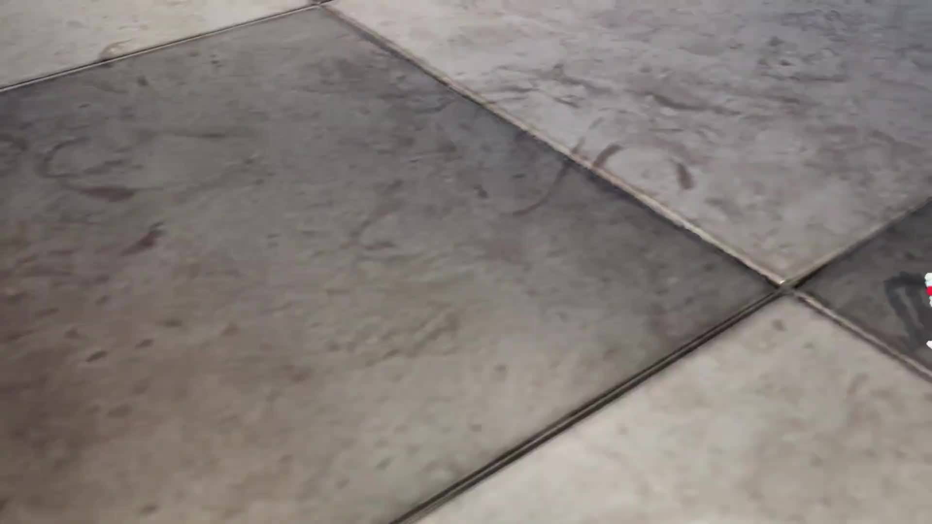 微观世界生物以及病毒大小排行