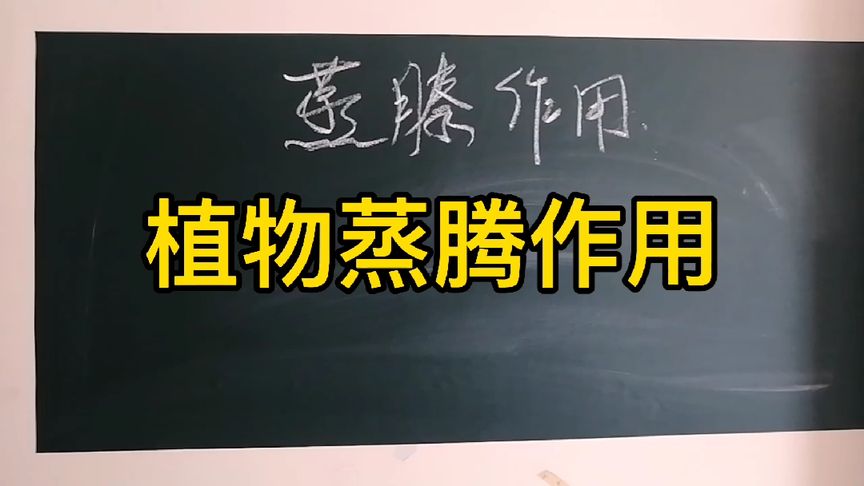 什么是植物蒸腾作用,对农业水果种植有重大意义
