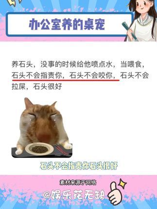 大家在办公室养的桌宠逐渐离谱 #桌宠 #办公室 #趣味 #大数据推荐给.