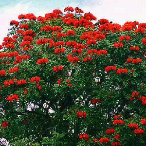 甲乙丙高中数学 