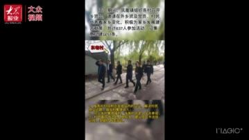视频|乡贤建言献策 51条意见建议助力凤凰镇“乡村振兴”