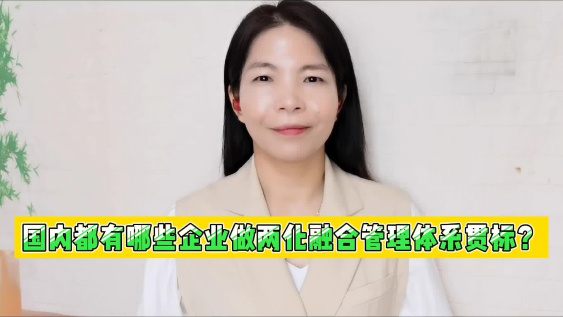 国内都有哪些企业做两化融合管理体系贯标?