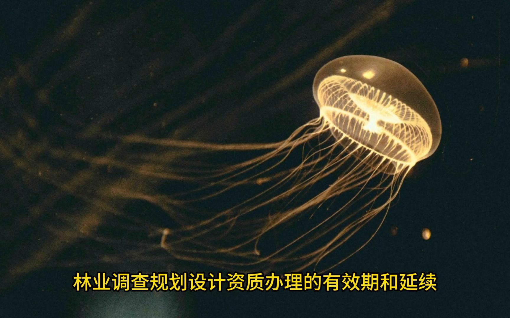 林业调查规划设计资质办理的有效期和延续