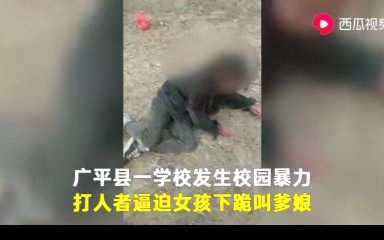 广平县一学校发生校园暴力,学生逼迫小女孩下跪其叫爹娘